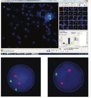 Quantitative Digital Pathology resources